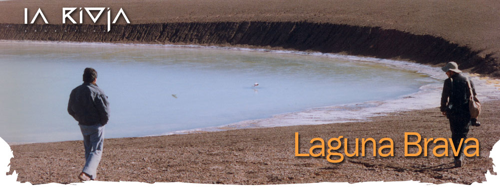 La Rioja: Laguna Brava